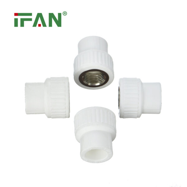 White PPR Female Socket - IFAN Manufacturer