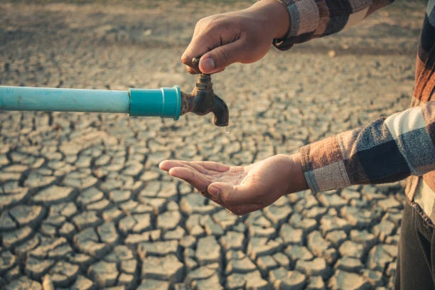Gold Bathroom Tap Features That Define Modern Elegance and ...